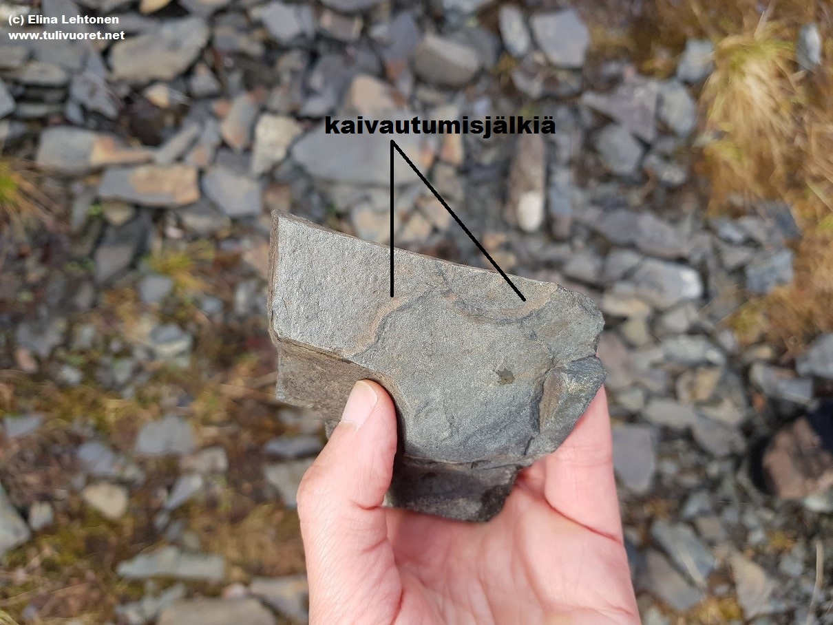 Muinaisen elämän merkkejä Saanan juurella - SUOMEN MUINAISET TULIVUORET